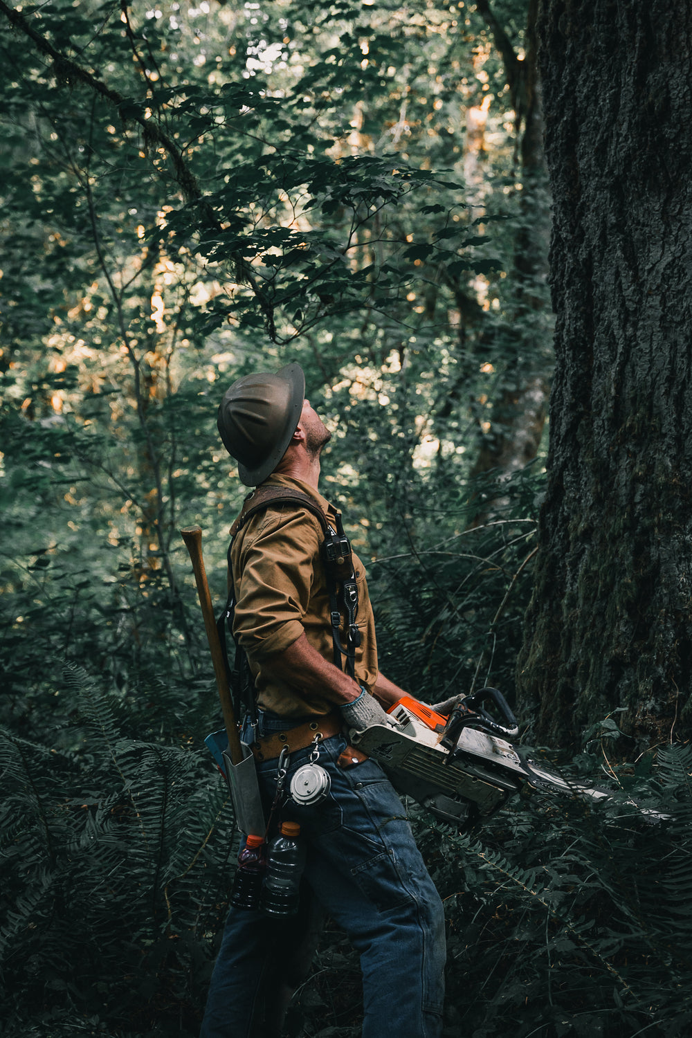 Pro Safety Felling Dogs | Westcoast Saw