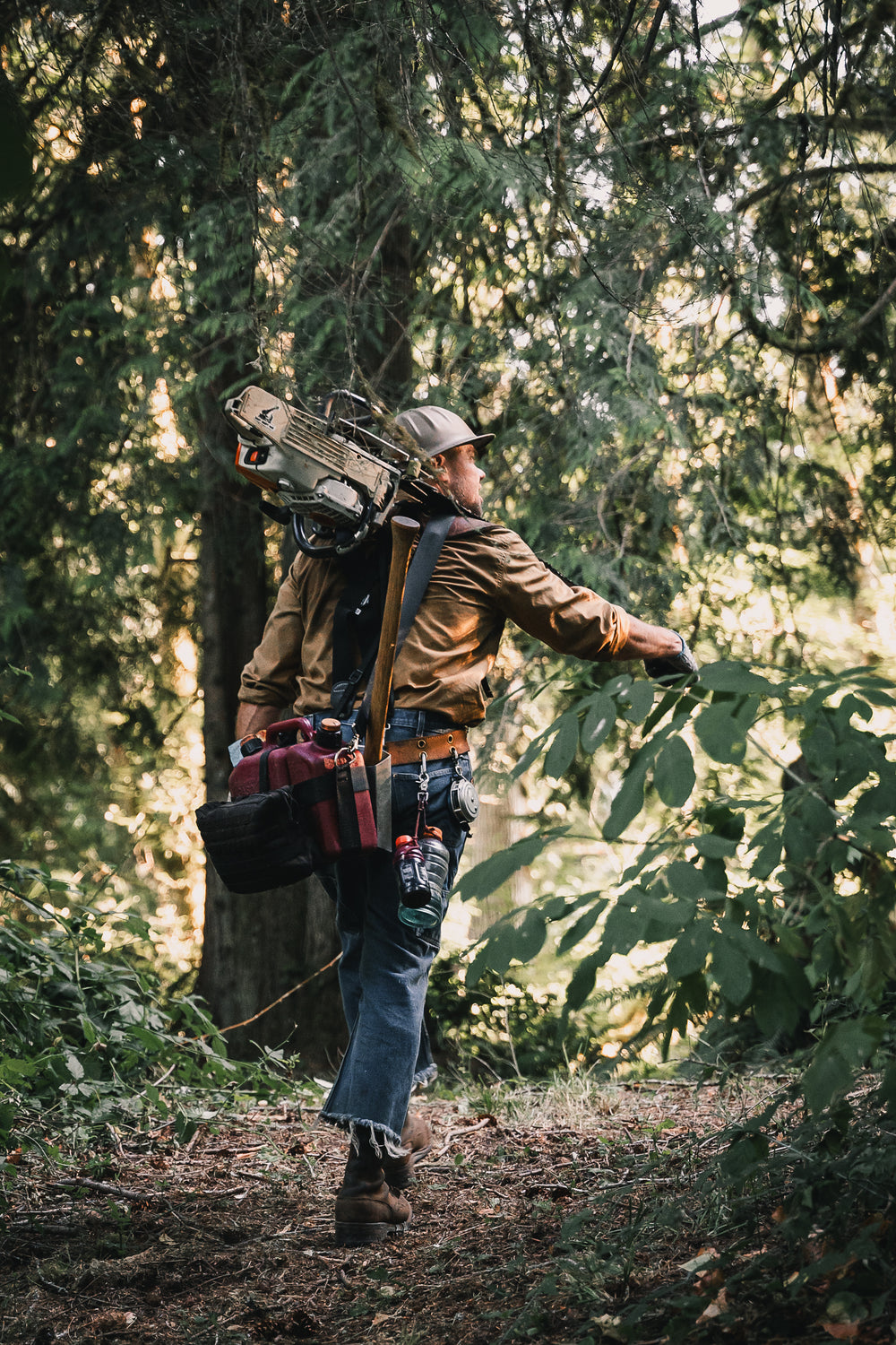Pro Safety Felling Dogs | Westcoast Saw