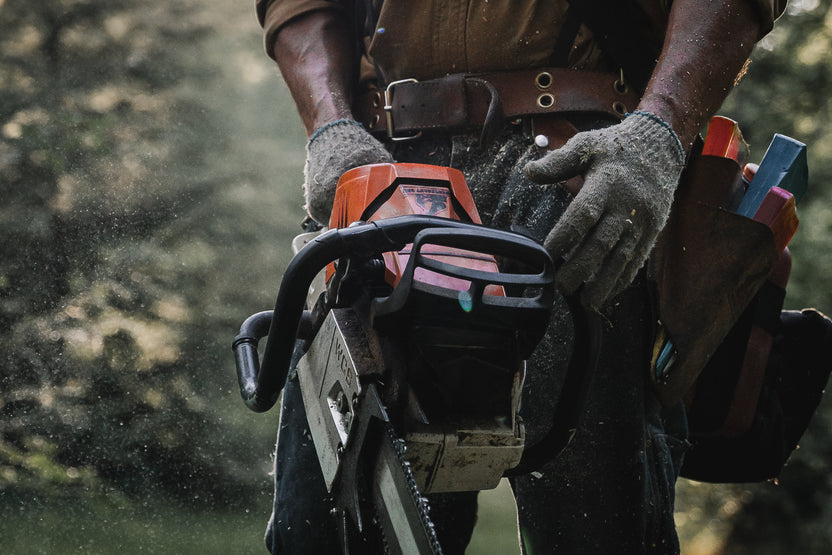 The Ultimate Guide to Chainsaw Bars