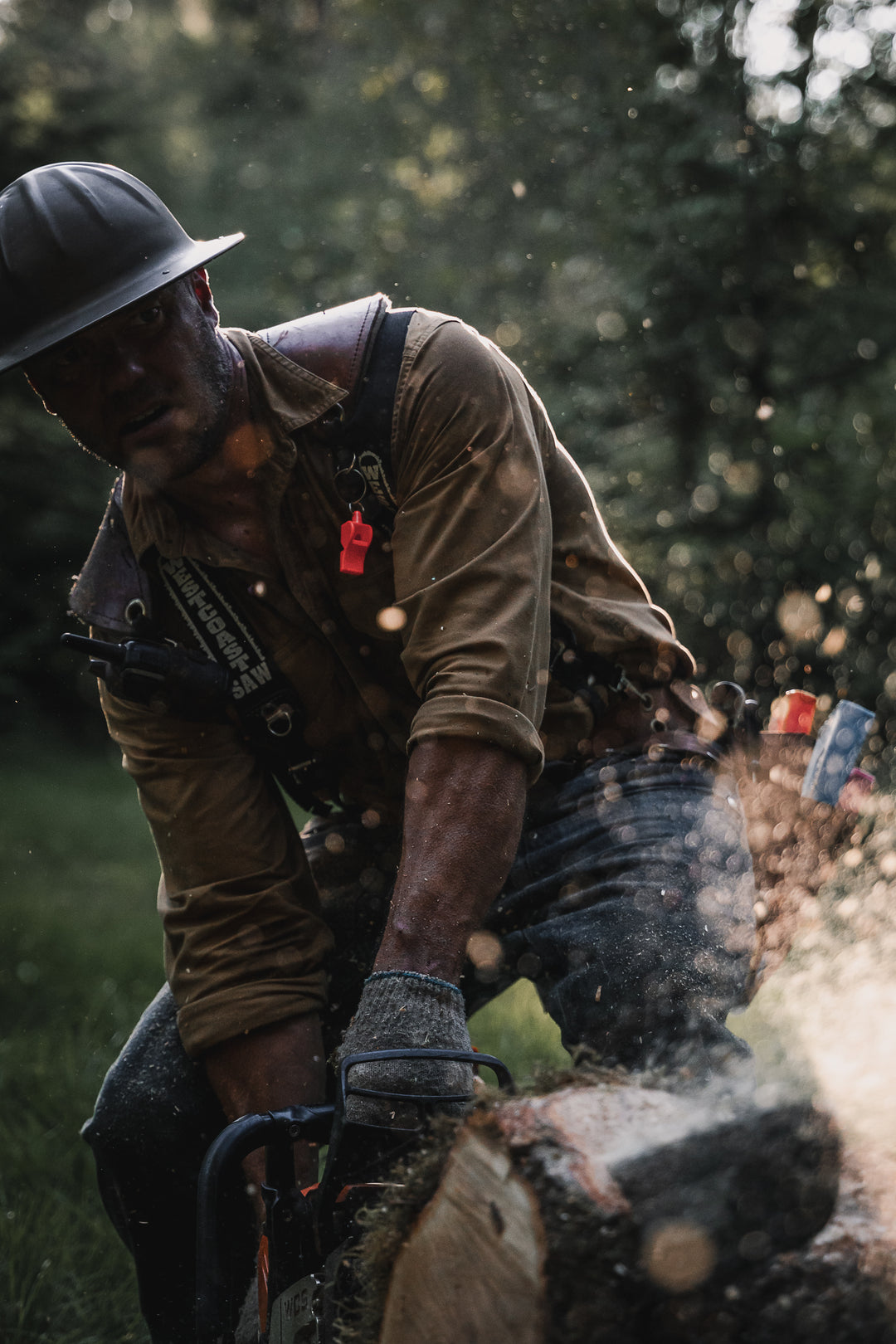 5-Pt Pro Safety® Felling Dogs For Chainsaws | Westcoast Saw